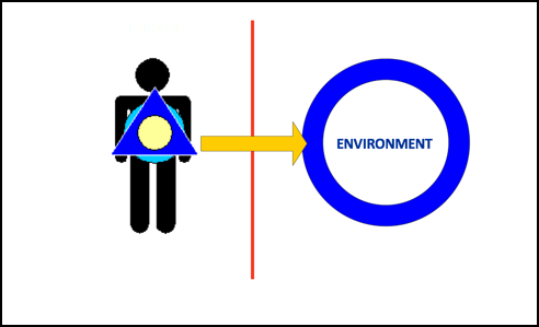 Applying the Kawa Model in Occupational Therapy Practice - Article 4133