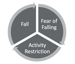 Innovations in Geriatric Care: Evidence-based Interventions for Falls ...