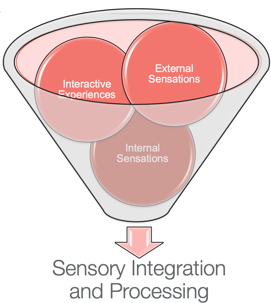 Sensory Integration and Processing 101 - Article 5465